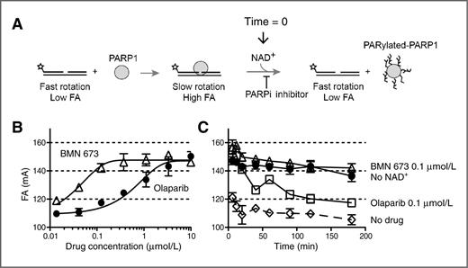 Stereospecific PARP Trapping by BMN 673 and Comparison with Olaparib ...