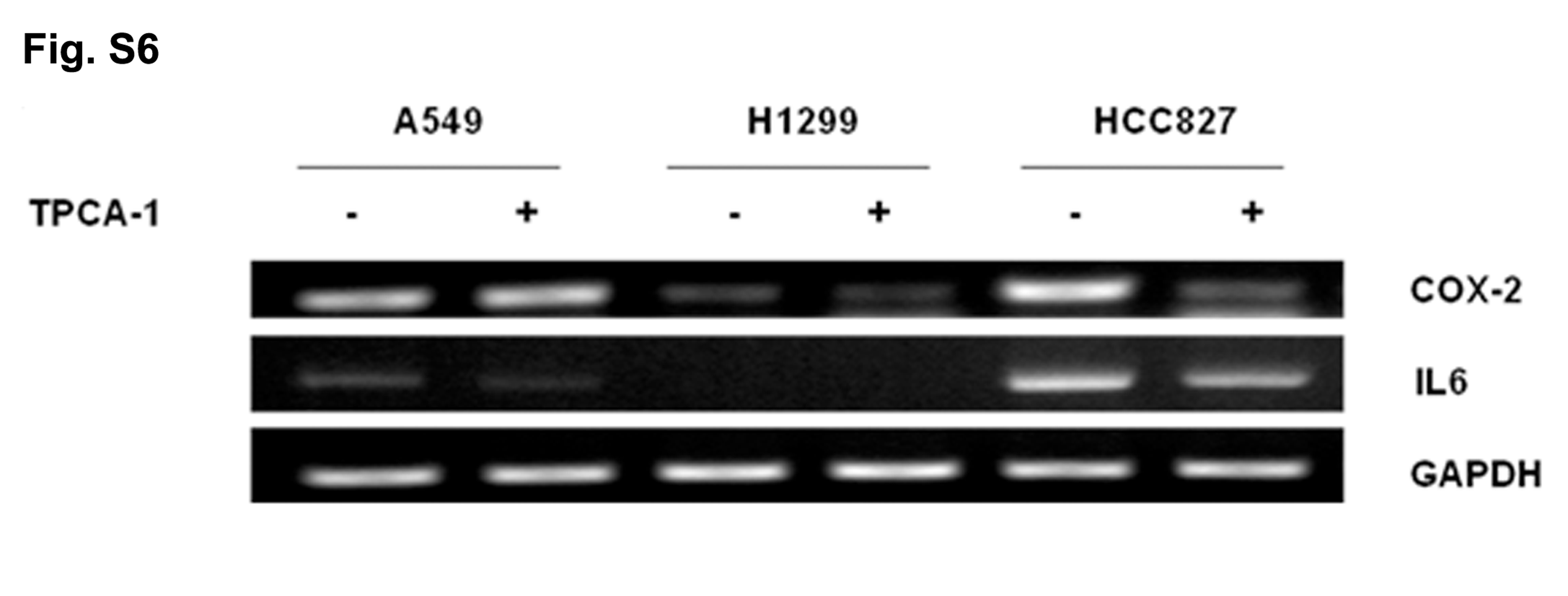 TPCA-1 Is a Direct Dual Inhibitor of STAT3 and NF-κB and Regresses ...