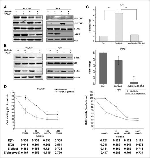 TPCA-1 Is a Direct Dual Inhibitor of STAT3 and NF-κB and Regresses ...