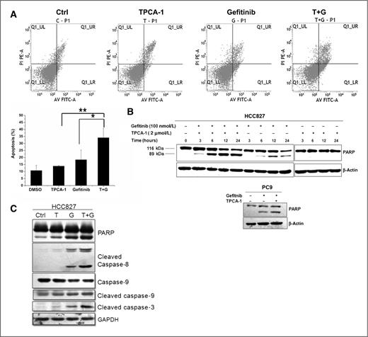 TPCA-1 Is a Direct Dual Inhibitor of STAT3 and NF-κB and Regresses ...