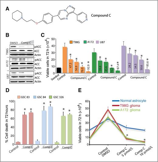 The AMPK Inhibitor Compound C Is a Potent AMPK-Independent Antiglioma ...