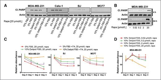Mutant Ras Elevates Dependence on Serum Lipids and Creates a Synthetic ...