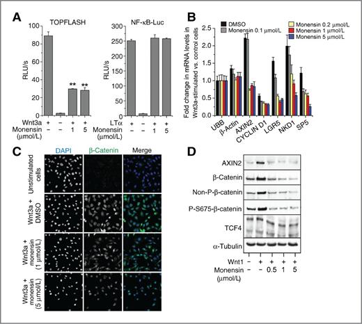 Monensin Inhibits Canonical Wnt Signaling in Human Colorectal Cancer ...