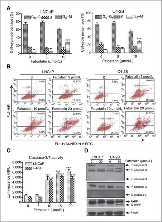 Fatostatin Displays High Antitumor Activity in Prostate Cancer by ...