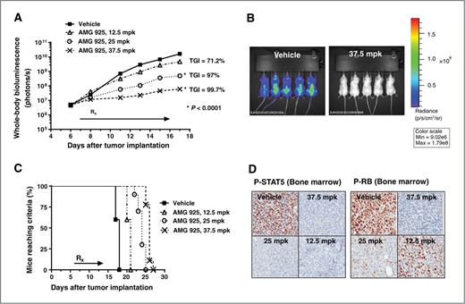 Preclinical Evaluation of AMG 925, a FLT3/CDK4 Dual Kinase Inhibitor for Treating Acute Myeloid ...