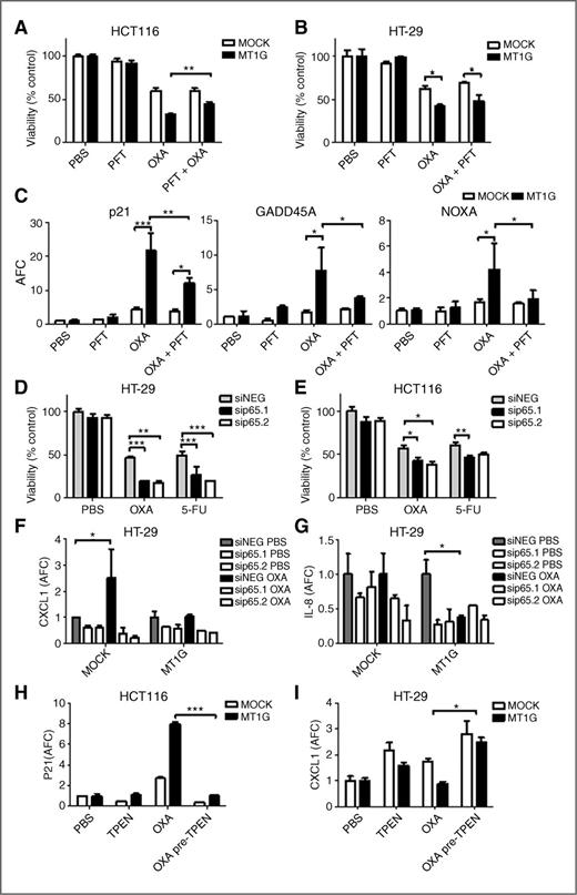 Metallothionein 1G and Zinc Sensitize Human Colorectal Cancer Cells to ...