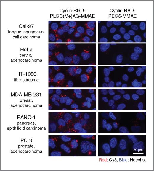 Dual Targeting of Integrin αvβ3 and Matrix Metalloproteinase-2 for ...