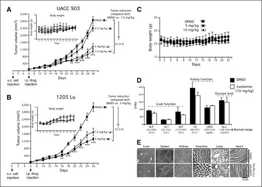 Targeting Multiple Key Signaling Pathways in Melanoma Using Leelamine ...