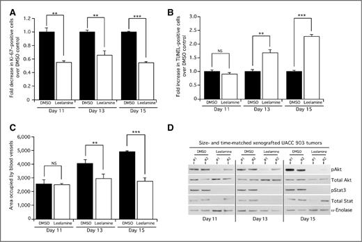 Targeting Multiple Key Signaling Pathways in Melanoma Using Leelamine ...