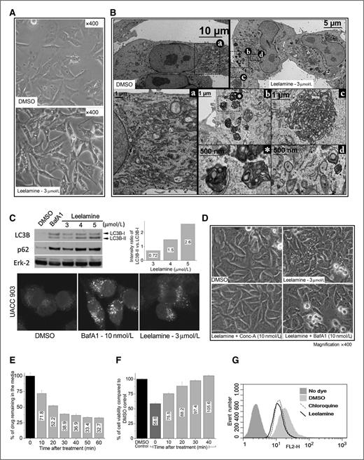 Leelamine Mediates Cancer Cell Death through Inhibition of ...