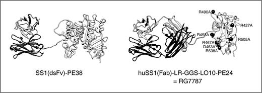 In Vitro and In Vivo Activity of the Low-Immunogenic Antimesothelin ...