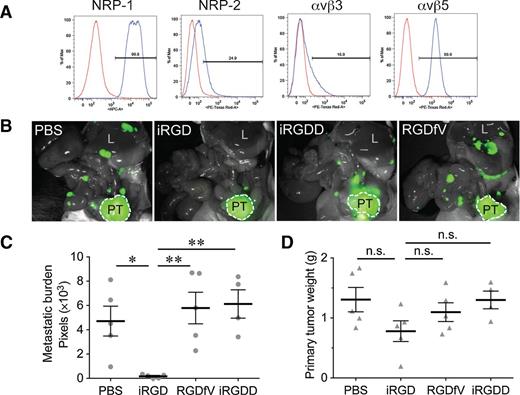 Tumor-Penetrating iRGD Peptide Inhibits Metastasis | Molecular Cancer ...