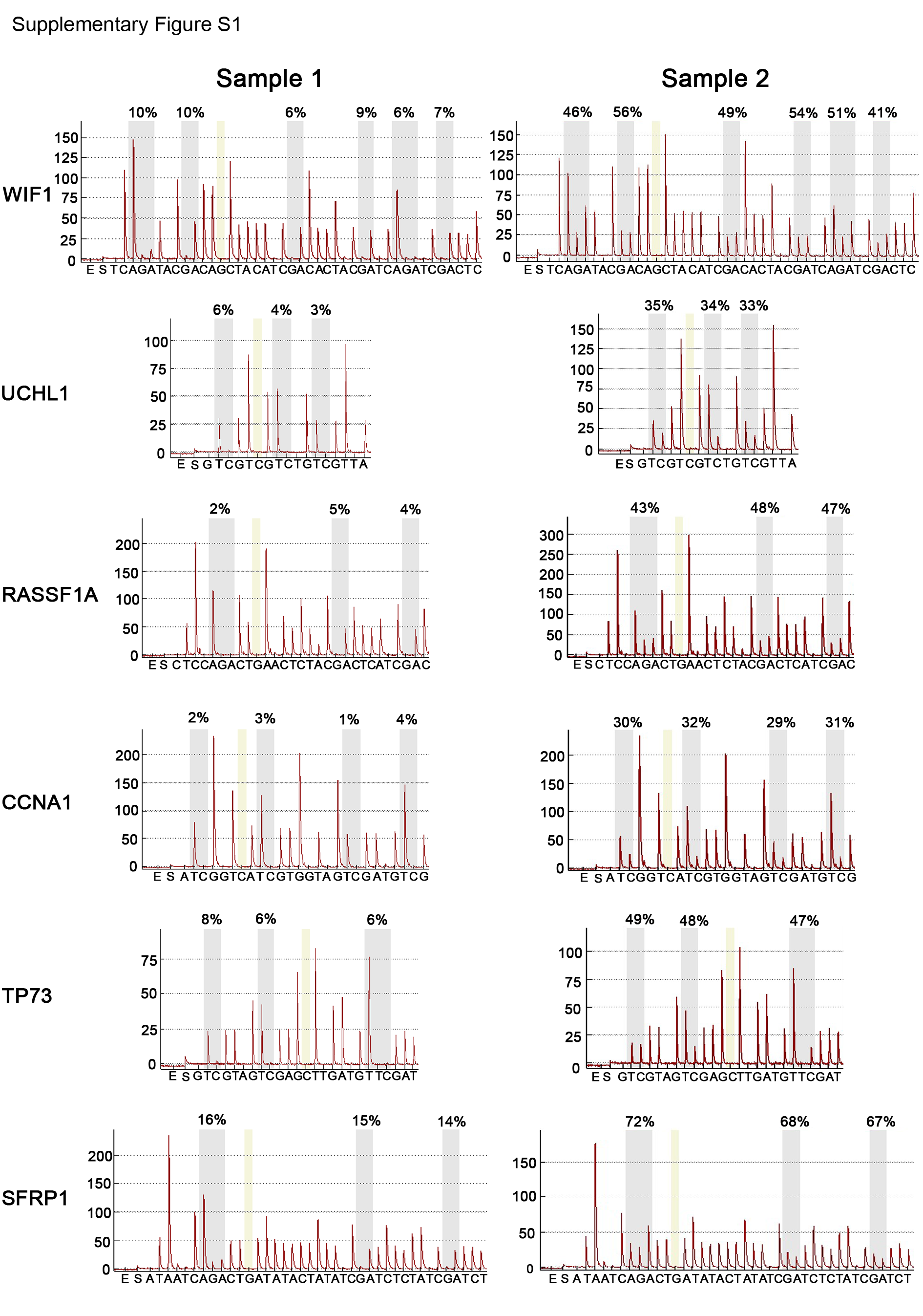 Genome-Wide Identification of a Methylation Gene Panel as a Prognostic ...