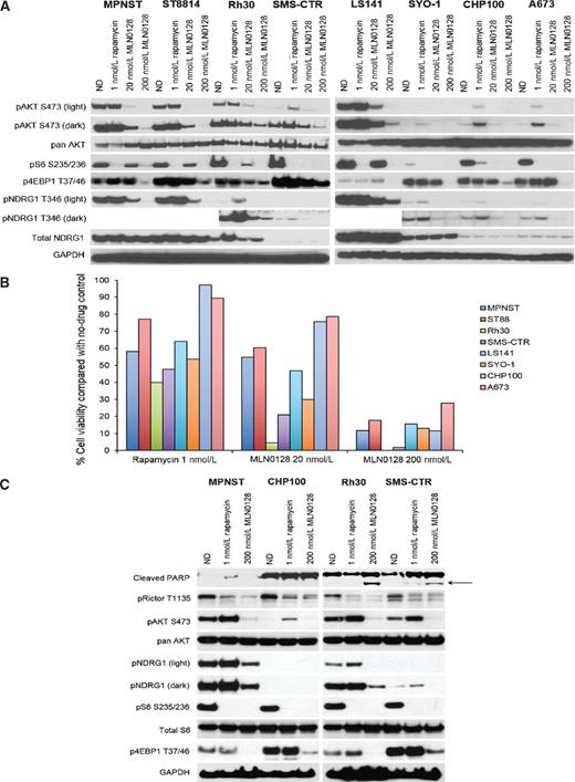 MLN0128, an ATP-Competitive mTOR Kinase Inhibitor with Potent In Vitro ...