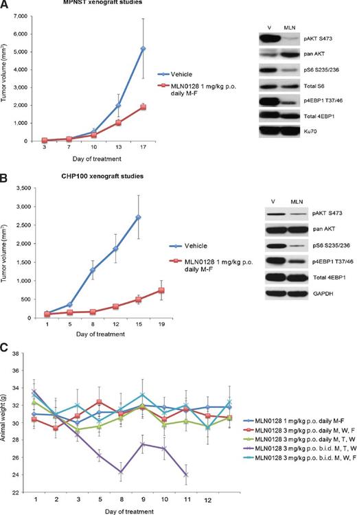 MLN0128, an ATP-Competitive mTOR Kinase Inhibitor with Potent In Vitro ...