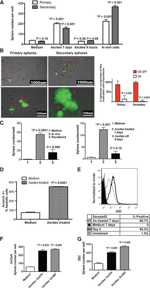 Syngeneic Murine Ovarian Cancer Model Reveals That Ascites Enriches for ...