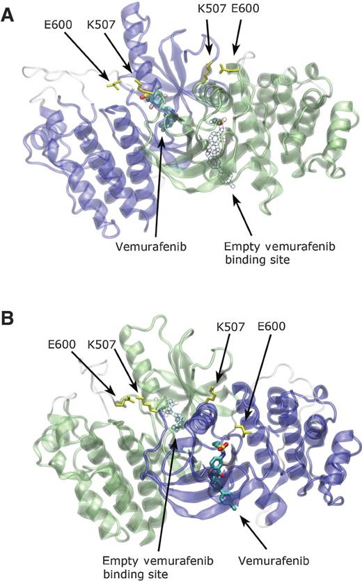 Vemurafenib Resistance Signature by Proteome Analysis Offers New ...