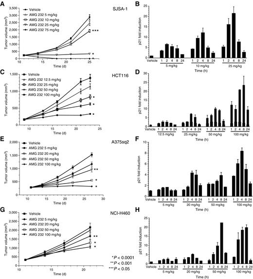 The MDM2 Inhibitor AMG 232 Demonstrates Robust Antitumor Efficacy and ...