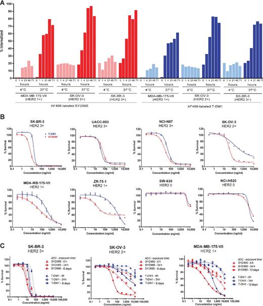 The Preclinical Profile of the Duocarmycin-Based HER2-Targeting ADC ...