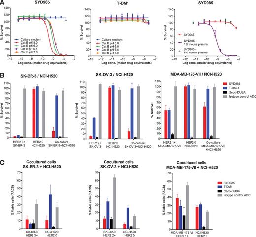 The Preclinical Profile of the Duocarmycin-Based HER2-Targeting ADC ...