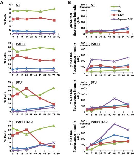 The Combination of the PARP Inhibitor Rucaparib and 5FU Is an Effective ...