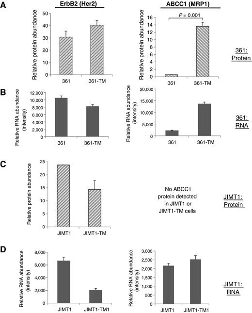 Tumor Cells Chronically Treated with a Trastuzumab–Maytansinoid ...