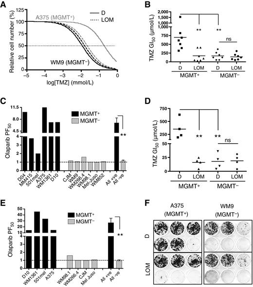 MGMT Expression Predicts PARP-Mediated Resistance to Temozolomide ...
