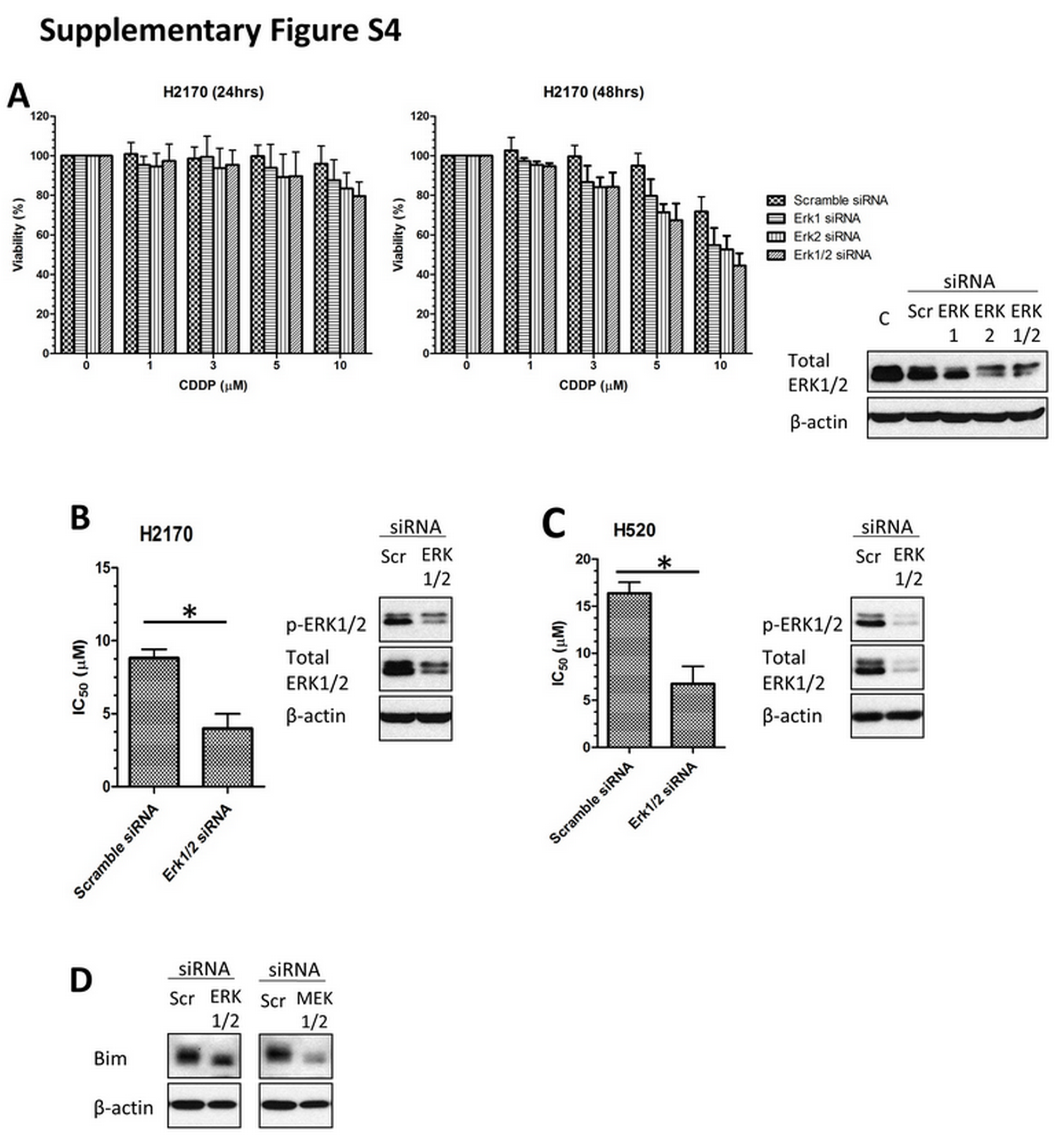 MEK Inhibition Overcomes Cisplatin Resistance Conferred by SOS/MAPK ...