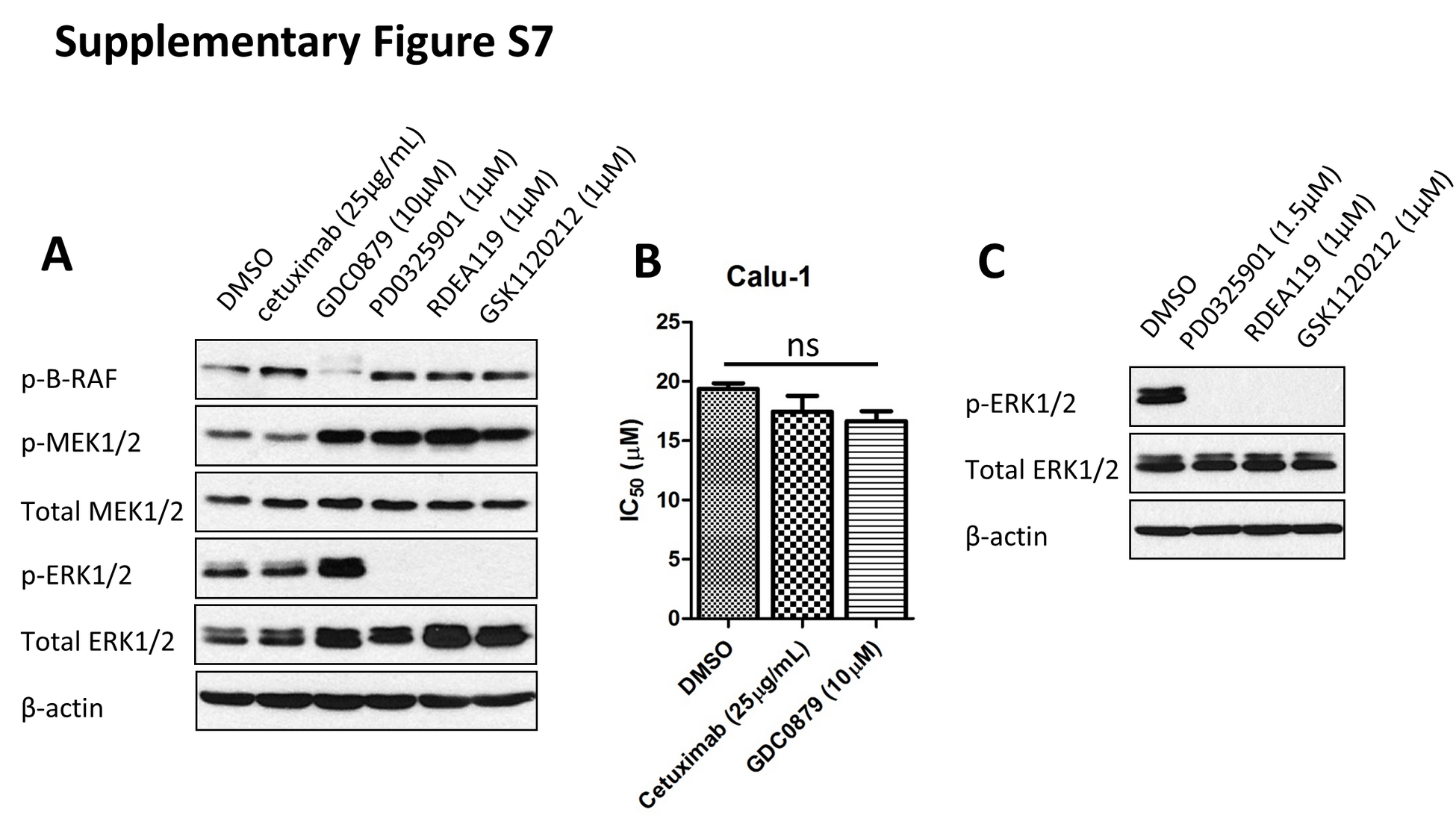 MEK Inhibition Overcomes Cisplatin Resistance Conferred by SOS/MAPK ...