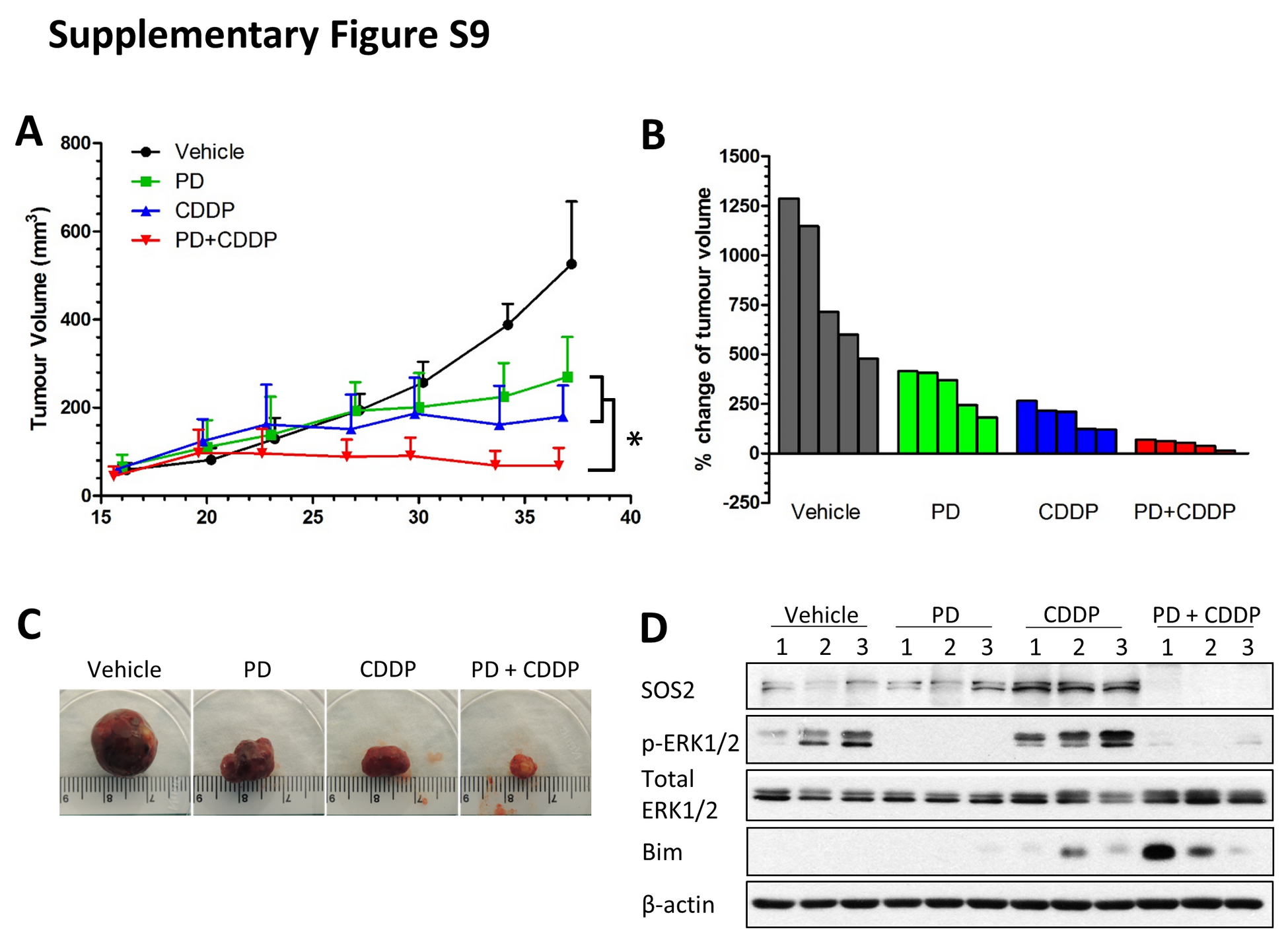 MEK Inhibition Overcomes Cisplatin Resistance Conferred by SOS/MAPK ...
