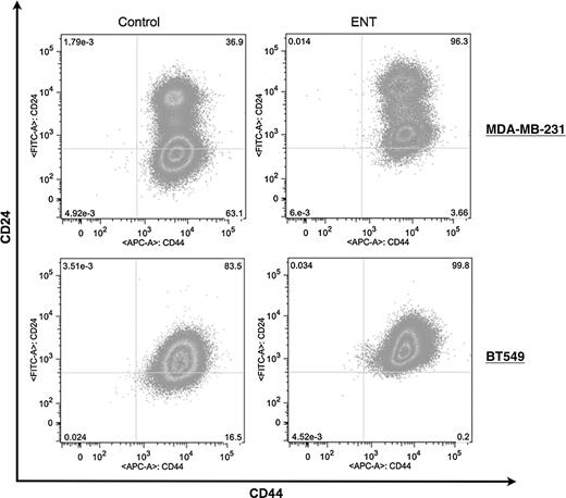 Histone Deacetylase Inhibitor Entinostat Inhibits Tumor-Initiating ...