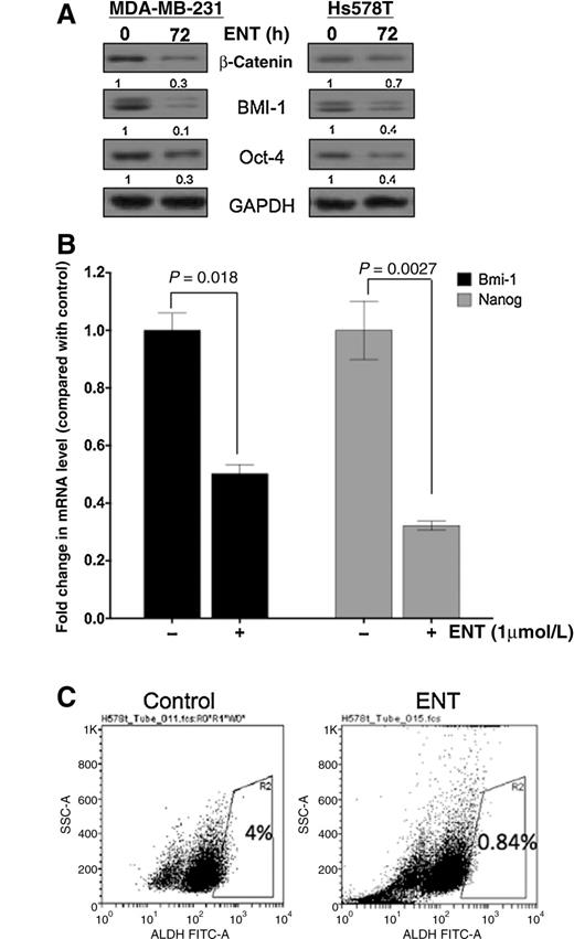 Histone Deacetylase Inhibitor Entinostat Inhibits Tumor-Initiating ...