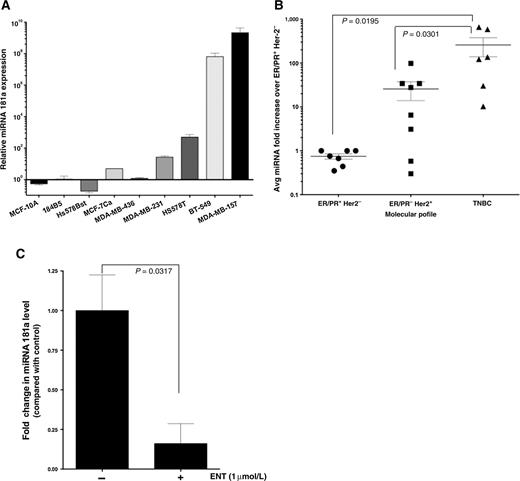 Histone Deacetylase Inhibitor Entinostat Inhibits Tumor-Initiating ...