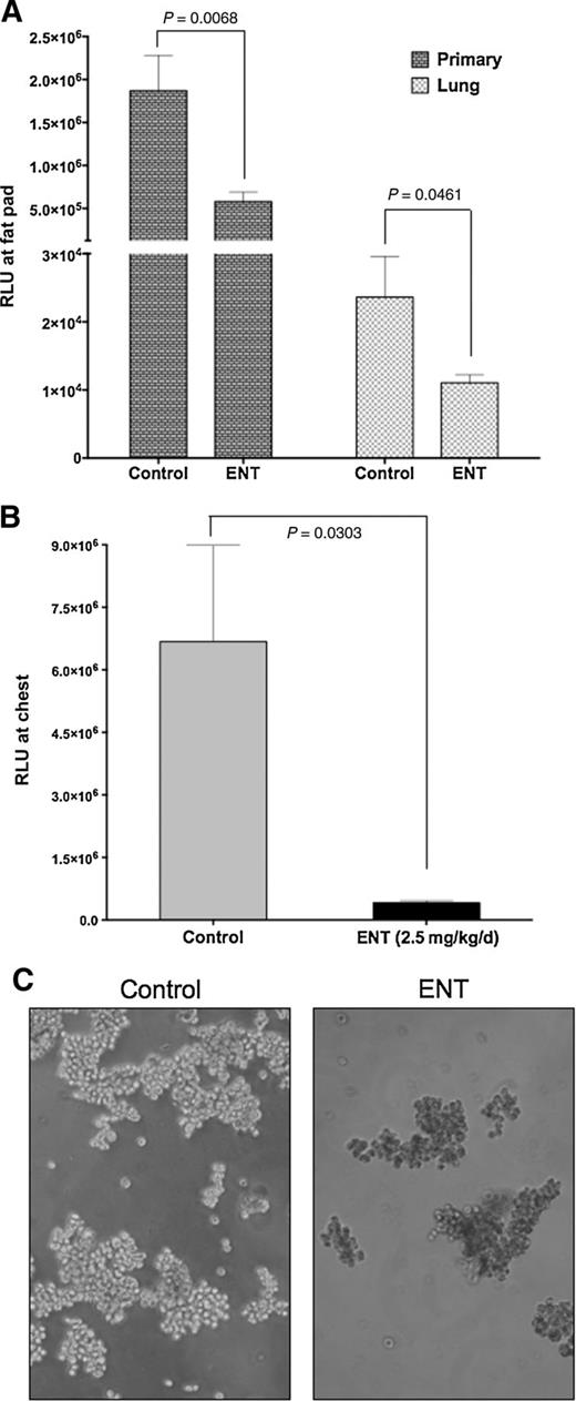 Histone Deacetylase Inhibitor Entinostat Inhibits Tumor-Initiating ...