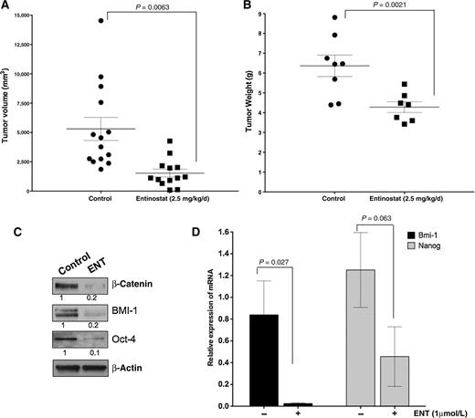 Histone Deacetylase Inhibitor Entinostat Inhibits Tumor-Initiating ...