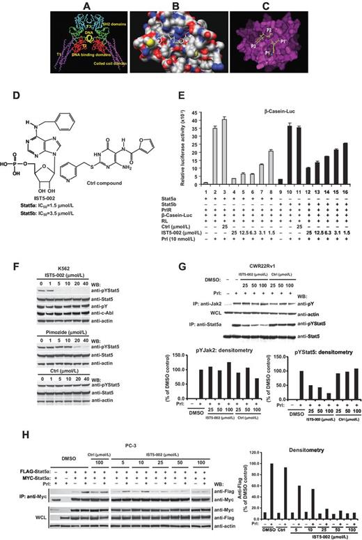 Structure-Based Screen Identifies a Potent Small Molecule Inhibitor of ...