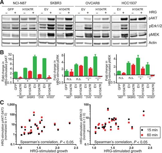 Heregulin–ErbB3-Driven Tumor Growth Persists in PI3 Kinase Mutant ...