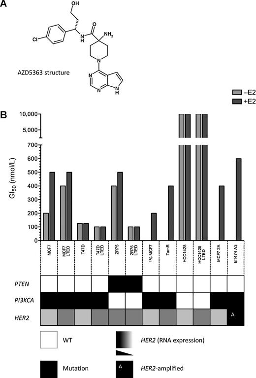 AKT Antagonist AZD5363 Influences Estrogen Receptor Function in ...