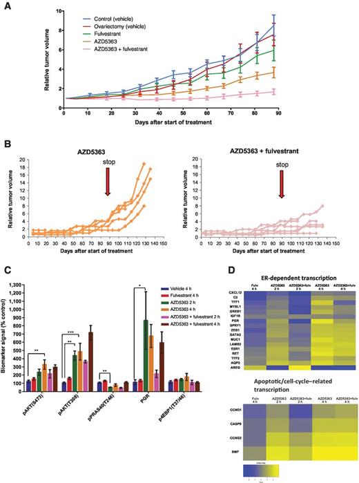 AKT Antagonist AZD5363 Influences Estrogen Receptor Function in ...