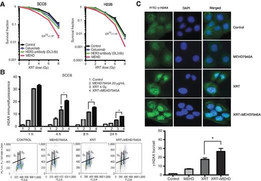 Antitumor Effects of MEHD7945A, a Dual-Specific Antibody against EGFR ...