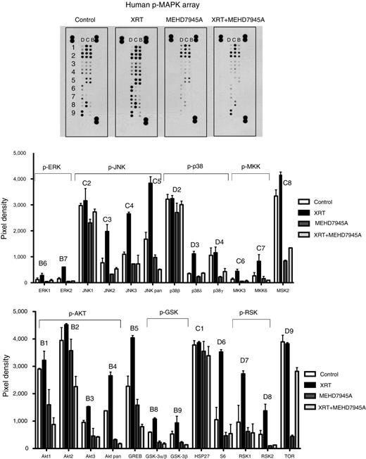 Antitumor Effects of MEHD7945A, a Dual-Specific Antibody against EGFR ...
