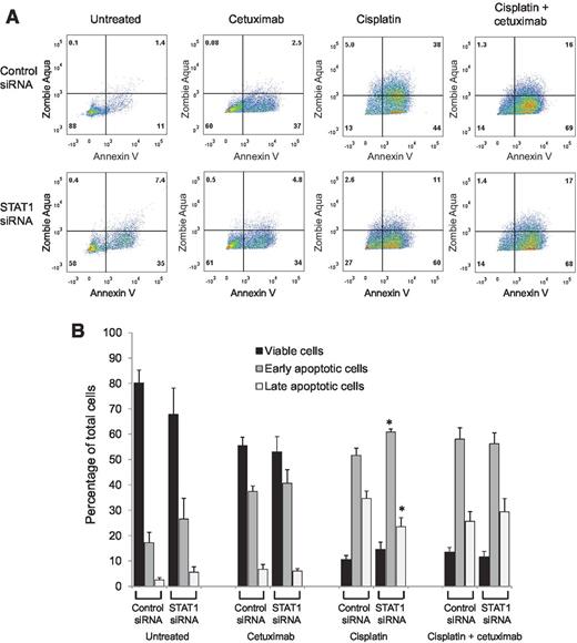 STAT1 Activation Is Enhanced by Cisplatin and Variably Affected by EGFR ...
