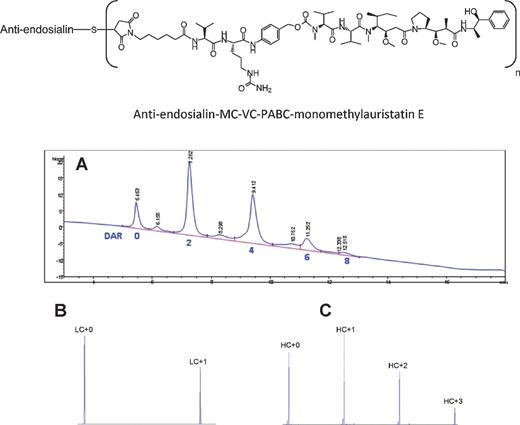 Anti-Endosialin Antibody–Drug Conjugate: Potential in Sarcoma and Other ...