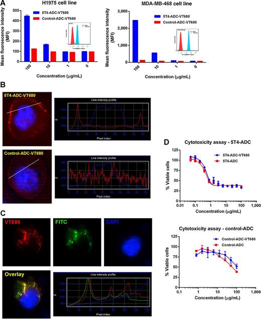 Biodistribution and Targeting of Anti-5T4 Antibody–Drug Conjugate Using ...