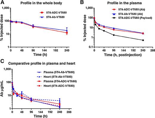 Biodistribution and Targeting of Anti-5T4 Antibody–Drug Conjugate Using ...