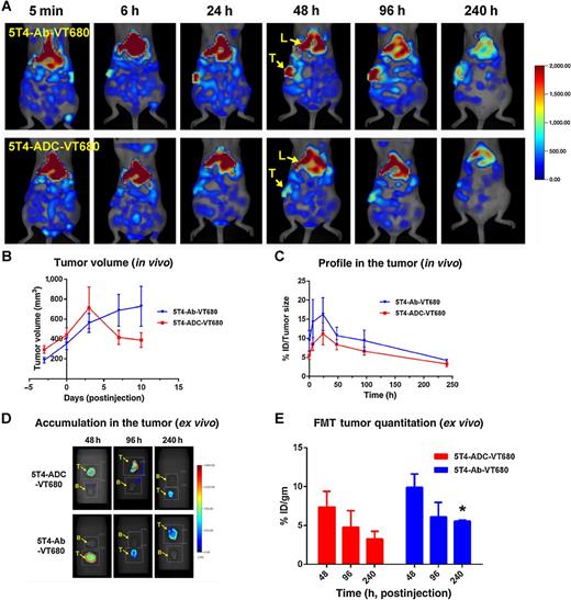 Biodistribution and Targeting of Anti-5T4 Antibody–Drug Conjugate Using Fluorescence Molecular ...