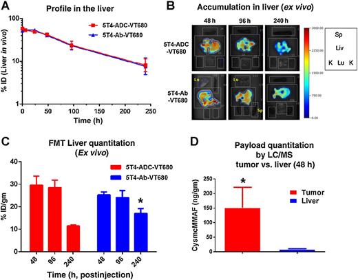 Biodistribution and Targeting of Anti-5T4 Antibody–Drug Conjugate Using ...