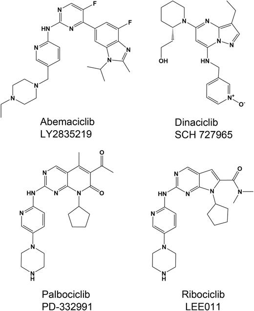 Spectrum and Degree of CDK Drug Interactions Predicts Clinical ...