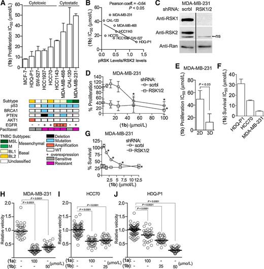 Development of a RSK Inhibitor as a Novel Therapy for Triple-Negative ...