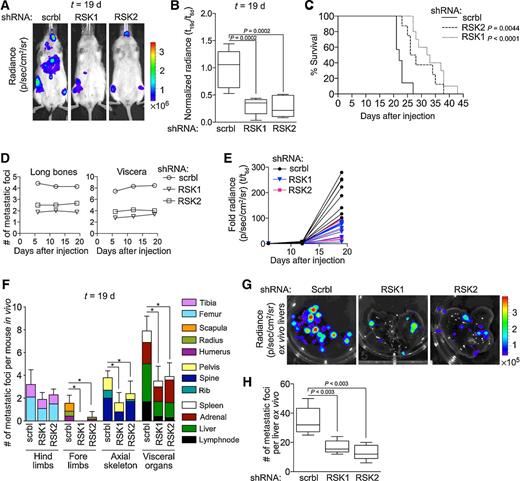 Development of a RSK Inhibitor as a Novel Therapy for Triple-Negative ...